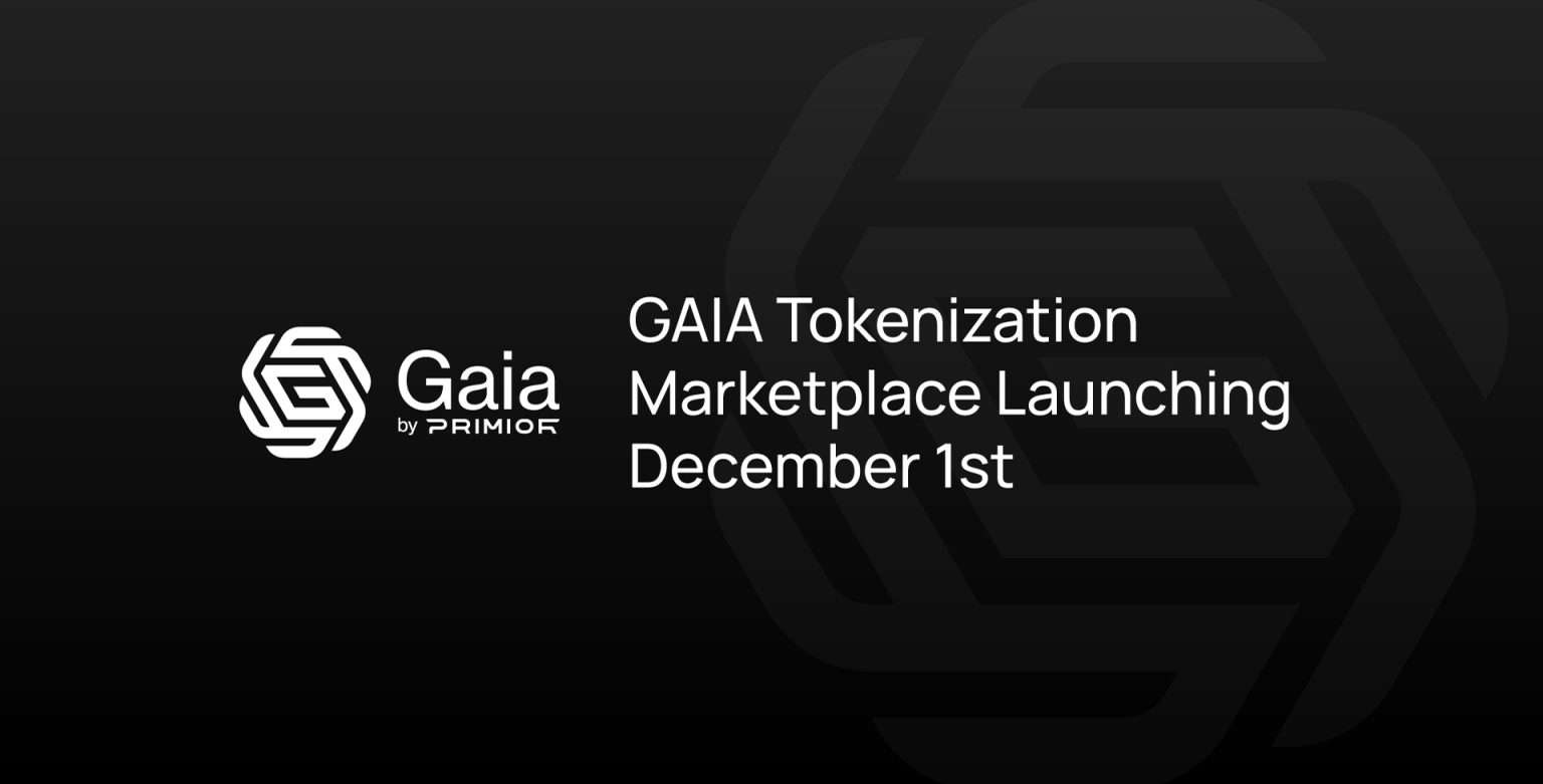 Real Estate Developer Vs Investor: A Detailed Comparison | Primior Group